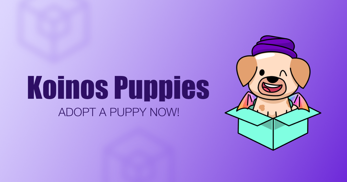 Koinos Puppies